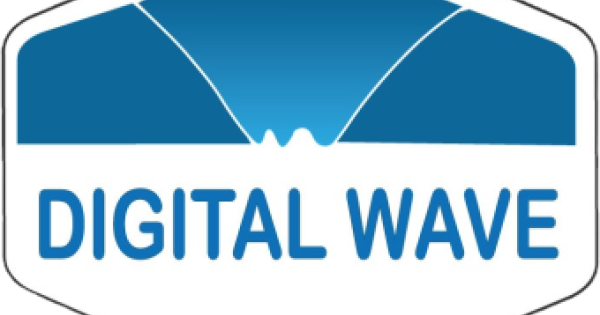 Digital Wave - eCommerce Consultores Estratégicos B2C - B2B